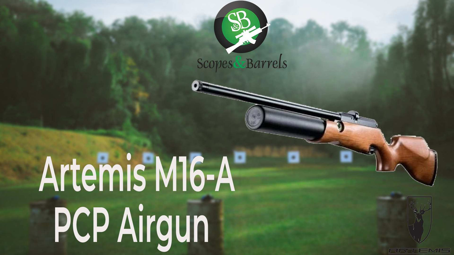 Artemis M16-A PCP Airgun. A Great option for demanding Snipers. – Scopes and Barrels