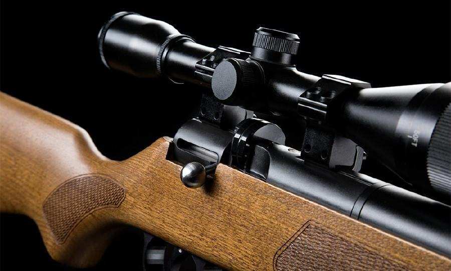 Artemis M30 Limited Edition | 5.5mm | PCP – Scopes and Barrels